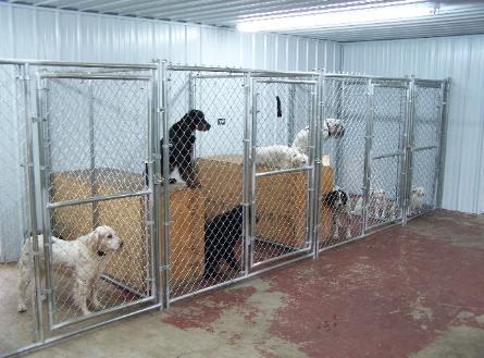 Riverside's Kennel - Photo Gallery