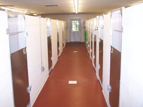 Riverside's Kennel - Boarding