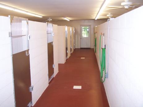 Riverside's Kennel - Boarding